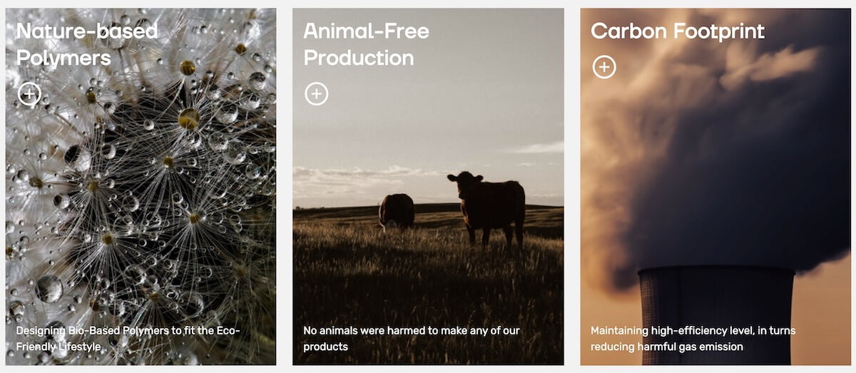 EXHIBITION by Mycotech Lab “Bio materials for sustainable life” マッシュルーム ...