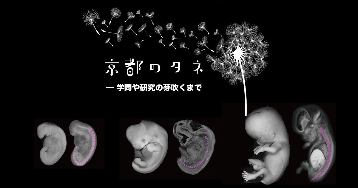 【京都のタネ vol.04】「ひと」を知るためのしっぽ学 | MTRL by FabCafe - Innovation platform for materials and creators.